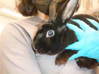 Help urgently needed to SAVE LIVES - Rescue support needed in Greater ...